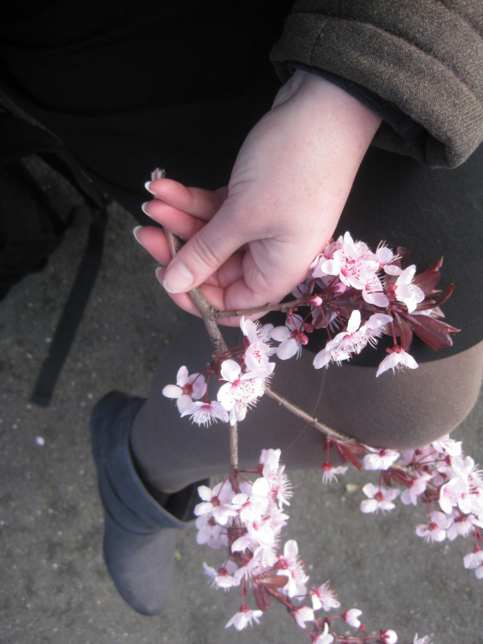 Guling Orchid Season (August) | itellyouarise