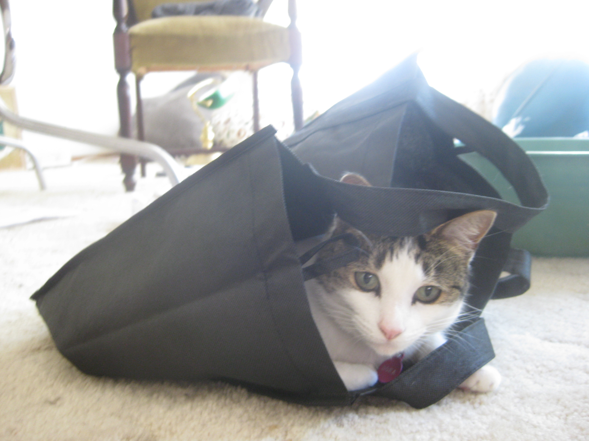 westword lmaw vigil 082 | itellyouarise